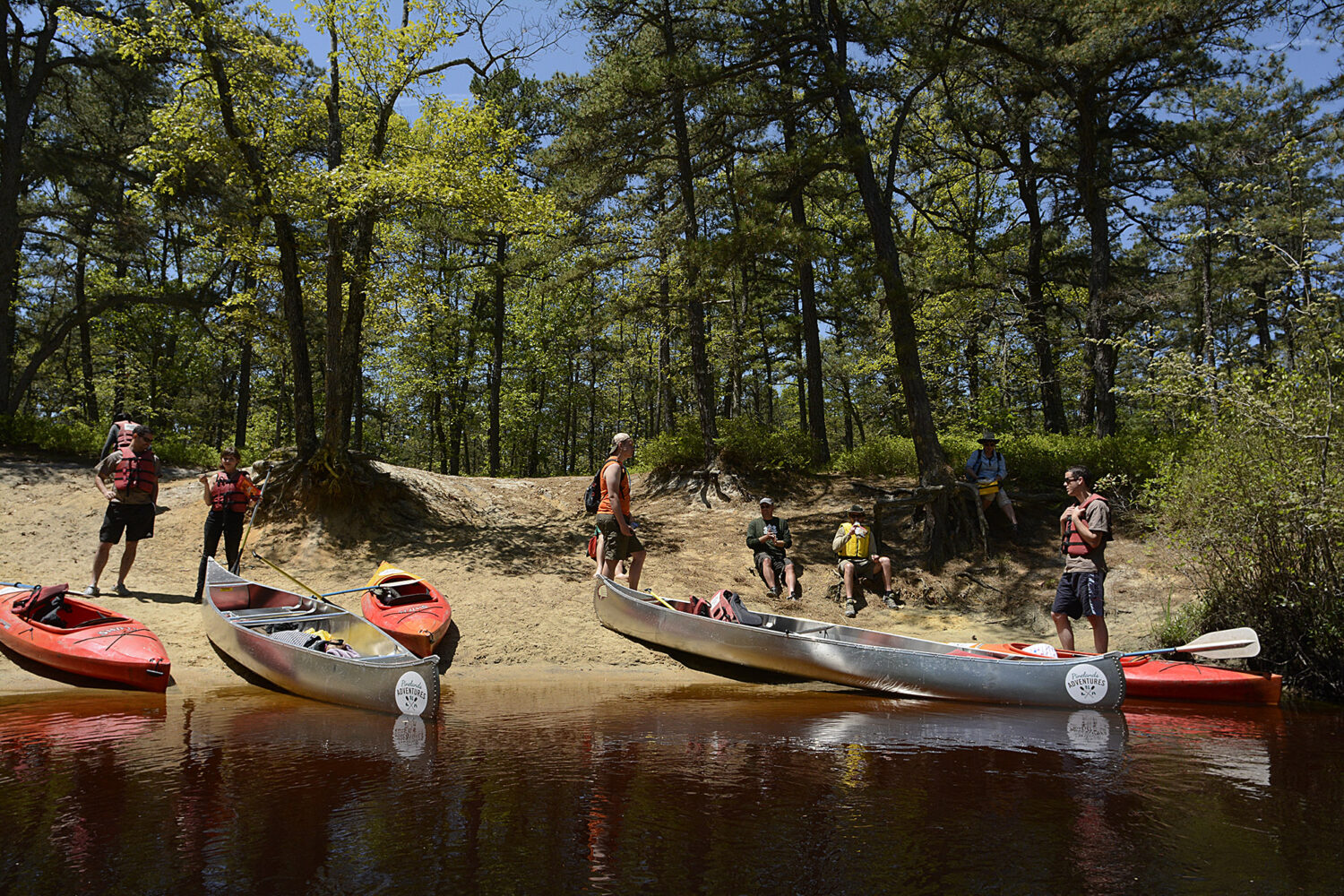 batsto river beach – Protecting the New Jersey Pinelands and Pine ...