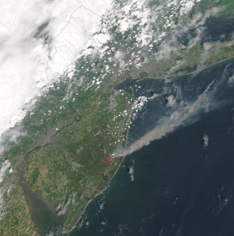 Fire in the Pines – Protecting the New Jersey Pinelands and Pine ...