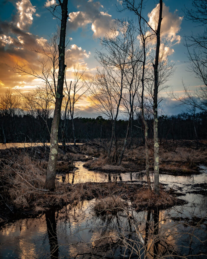 A Message to Our Members and Followers: A Breakthrough Year for the ...