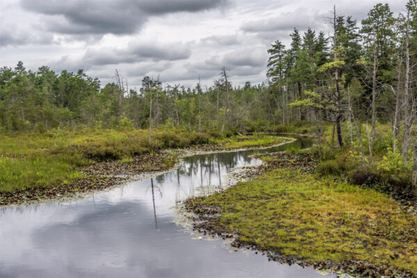 SteoPa-Curves_1 – Protecting the New Jersey Pinelands and Pine Barrens ...