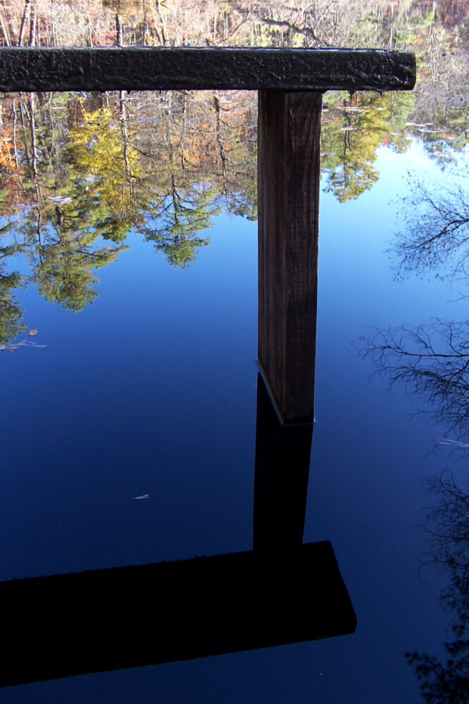 bill-troy–good-dam-reflection – Protecting the New Jersey Pinelands and ...