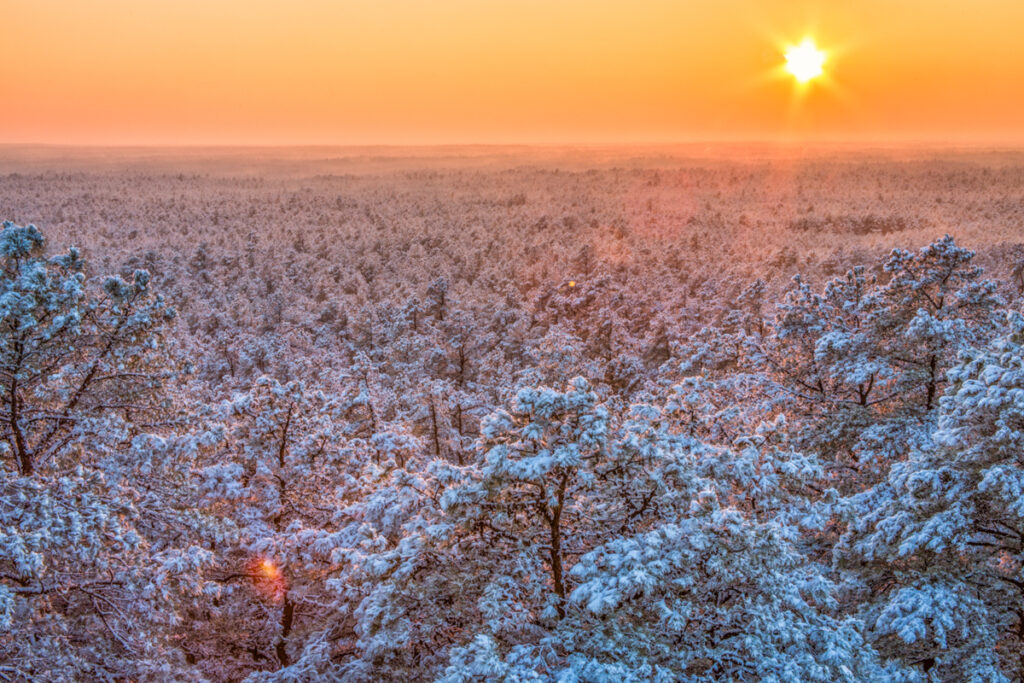 larry-lyons–beaming-across-frozen-pinelands - Protecting the New Jersey ...