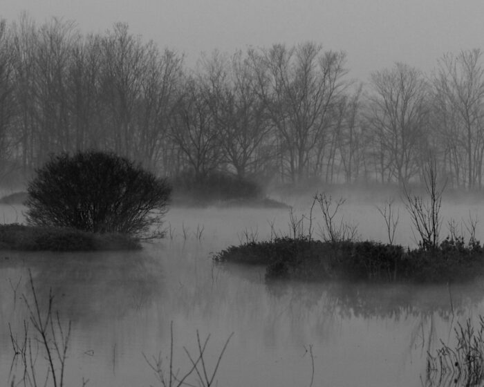 virginia-rice–bogs-13-p4066346-001 - Protecting the New Jersey ...
