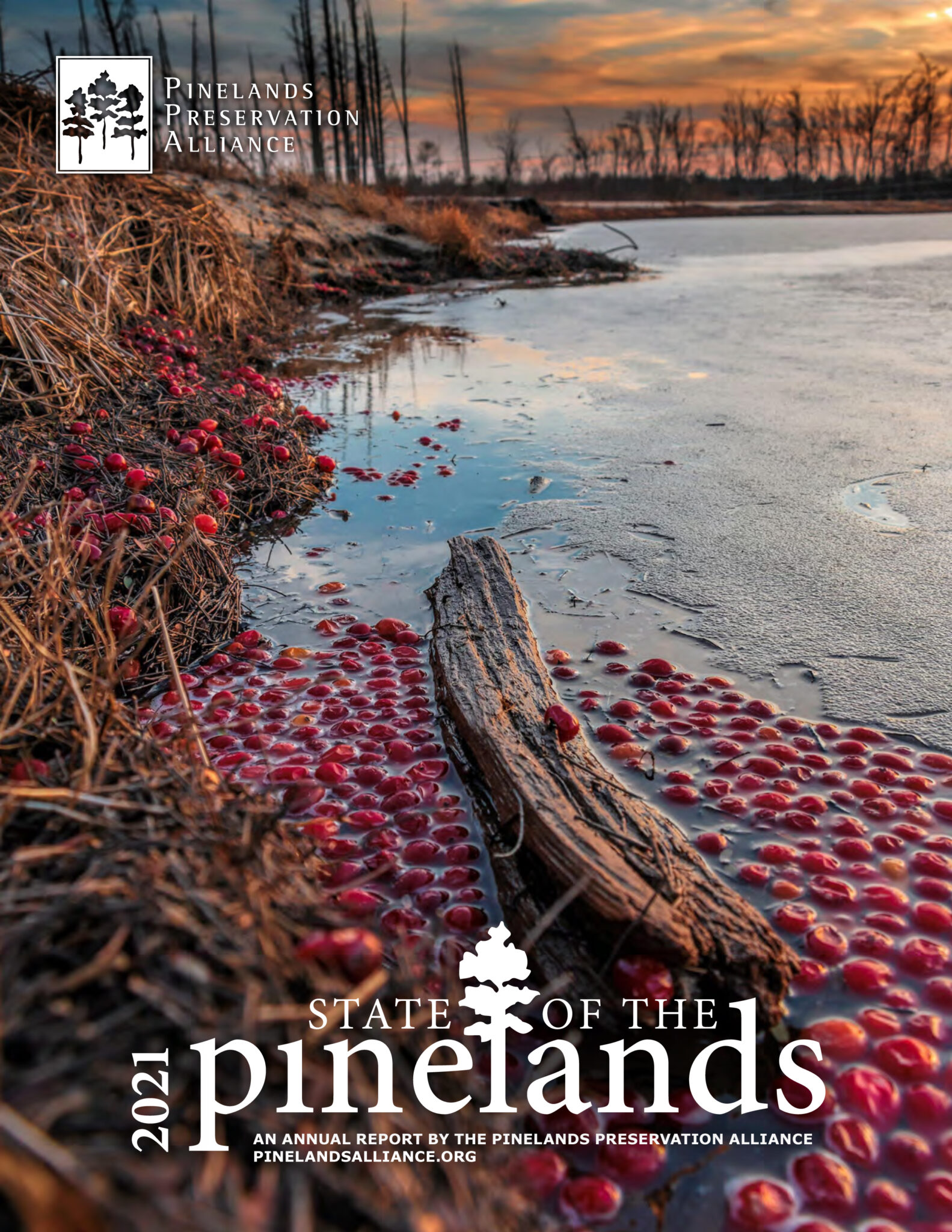 State of the Pinelands – Pinelands Preservation Alliance