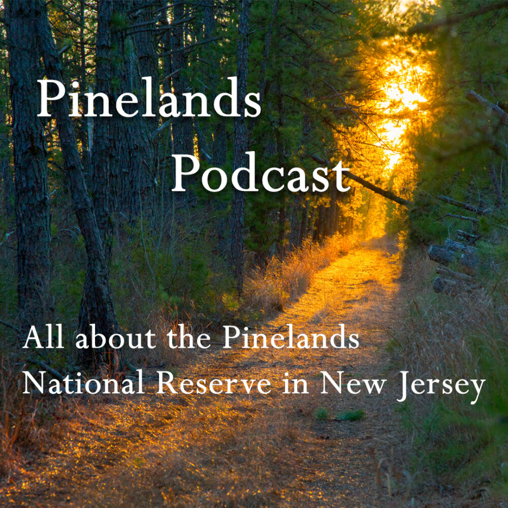 Pinelands Alliance News & Reports - Pinelands Alliance - Protecting the ...