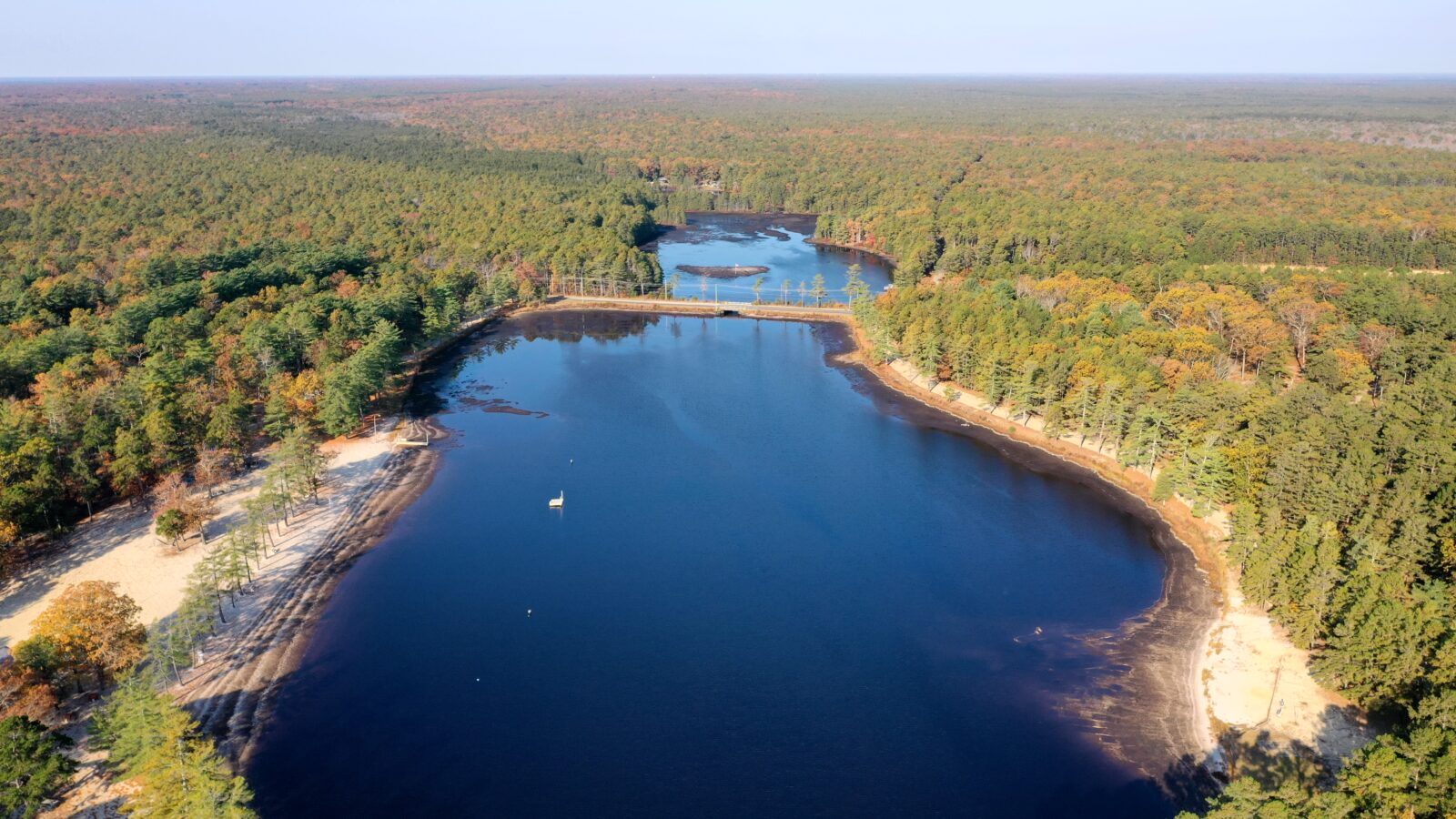 Pinelands Blog & News - Pinelands Preservation Alliance