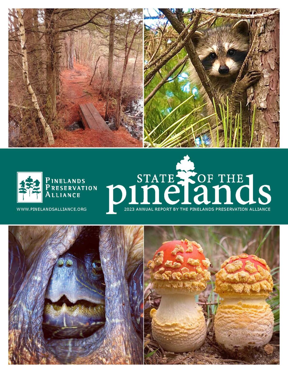 State of the Pinelands - Protecting the New Jersey Pinelands and Pine ...