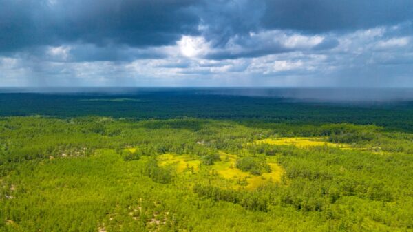 Wharton State Forest Visitor Use Map - Protecting the New Jersey ...